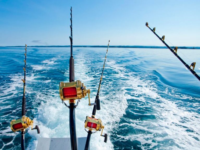 currican Archives | Pesca10
